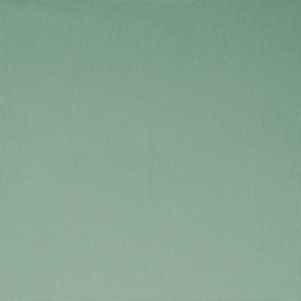 Vieux vert - Canevas uni – NON NON OUI